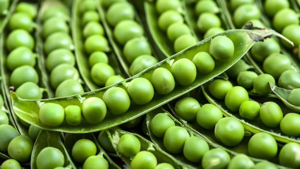 Green Peas – The Organic Way